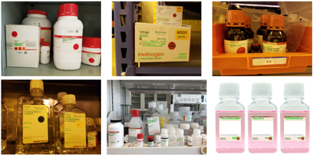 Deep Learning-based Text Detection and Recognition in Research Lab | by ...