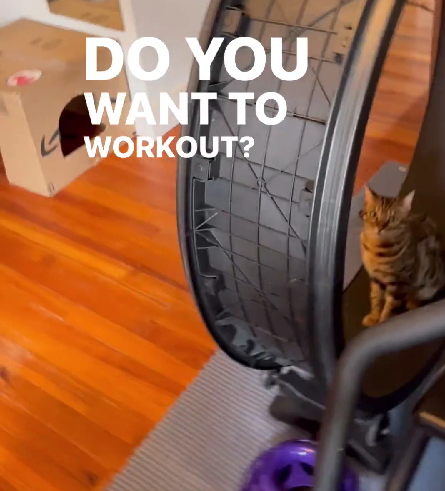 How to work out with your car — Best work out buddy! | by Creator-cube ...