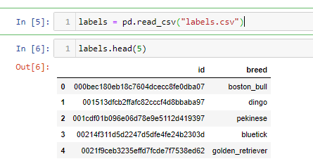 Dog Breed Identification using Tensorflow in 10 Minutes | by Subhendu ...