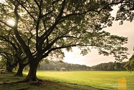 UP, you are the dream.. Nangangarap maging iskolar. | by Cesia | Medium