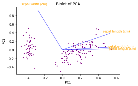 A Quick Look At The Principal Component Analysis (PCA) | by Defne Buse ...