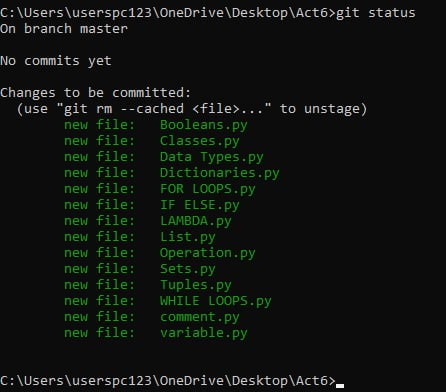 RAM LOUISE M. CAPILITAN BSIT 2 — DATA STRUCTURES IN ALGORITHMS Step 1: Check Git Version Step 2 ...