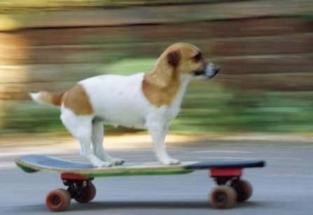 LeetCode 331. Verify Preorder Serialization of a Binary Tree — JavaScript solution - Traveling ...