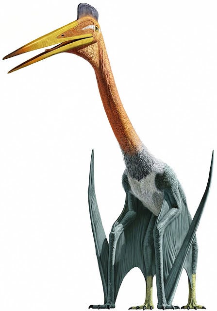Quetzalcoatlus : Flying giants of the Mesozoic era | Medium
