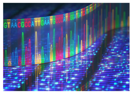 Triple-Stage DNA Cryptography And DNA Steganography | by SIAM Student's ...