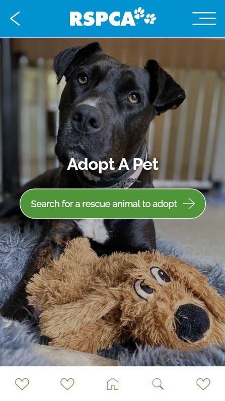 UX CASE STUDY. RSPCA MOBILE APP — ADOPT-A-PET | by Cara Skinner | Medium