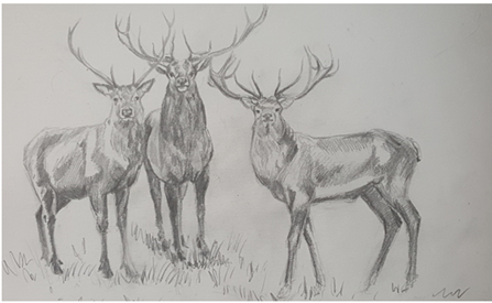 Nicknames. The army is a wonderful organization… | by Brendan Rohan ...