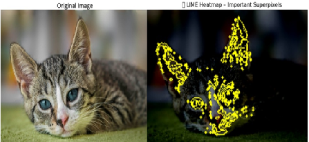 LIME: A simple explanation. This document provides a simple… | by ...