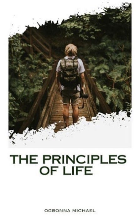 THE PRINCIPLES OF LIFE. Achieving success in adulthood | by ...