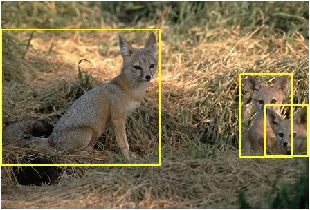 Object Detection :Theory. Ever wanted to detect objects in an… | by ...