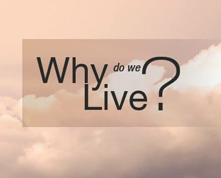 Why Do We Live? | by Amit P | Medium