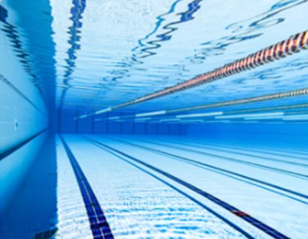 The Art of Swimming. Whenever I see a vast stretch of calm… | by sharon ...