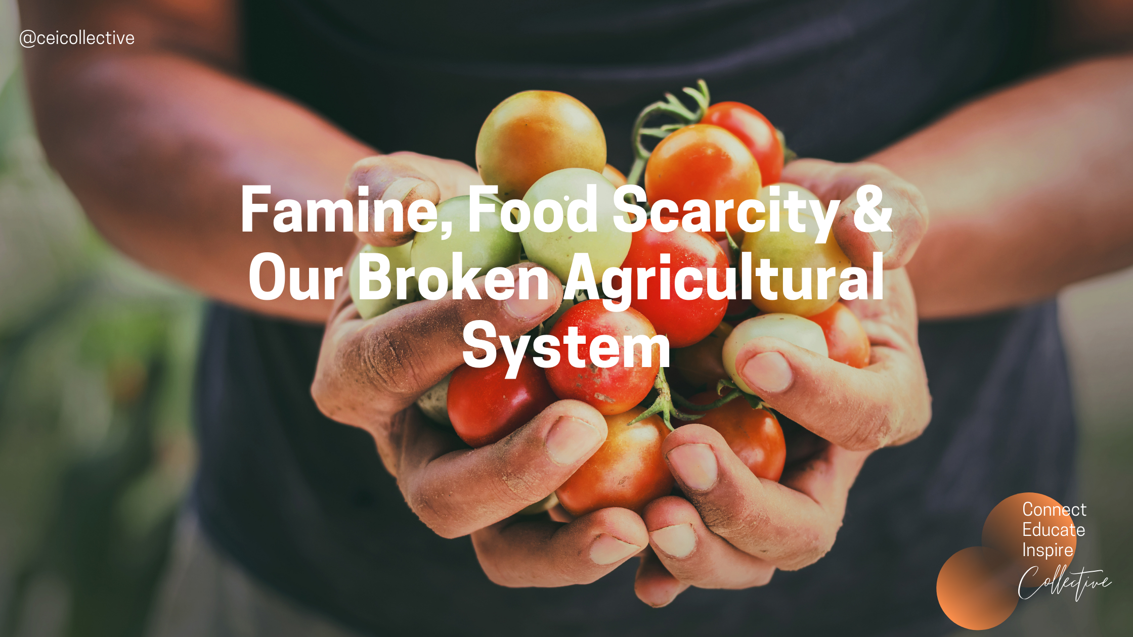 Scarcity Of Food