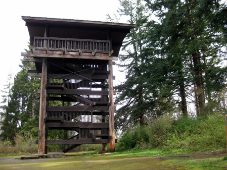 The Sehome Arb Watchtower. By Carter Draper | by Carter Draper | Medium