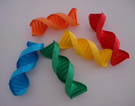 From Paper to Medicine: the surprising link between Origami and ...