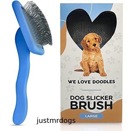 How to Groom a Labradoodle | Best Brush for a Labradoodle 2022 | by ...