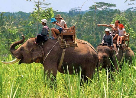 Unleash the Wonders of Western India: Your Ultimate All India Tour ...