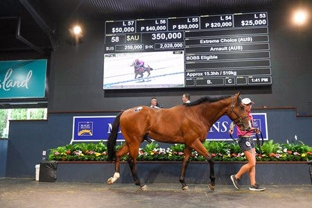 Muskoka Farm Horse Training NSW. Located at 5738 Wisemans Ferry Road ...