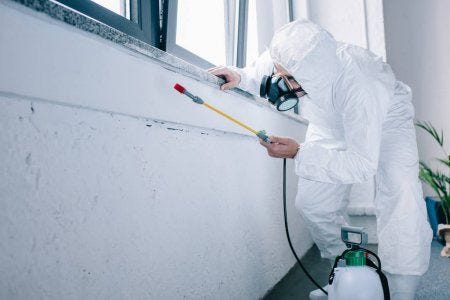 Why Dangerous Pests Should Be Managed Differently | by Goode Pest ...