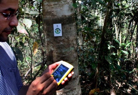 RFID Nail Tag for tree management | by C Catherine | Medium