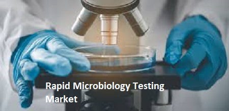 Rapid Microbiology Testing Market Size, Strategic Analysis, Growth ...