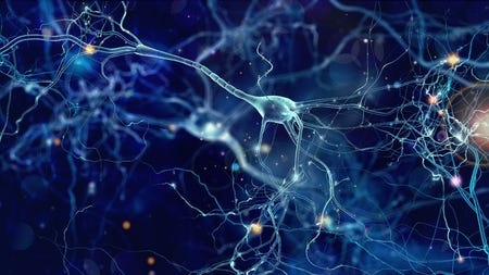 Human Brains and Neural Networks. Human and artificial neural networks ...