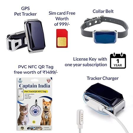 Enhancing Efficiency and Safety with the Smart Blue Collar GPS Tracker ...