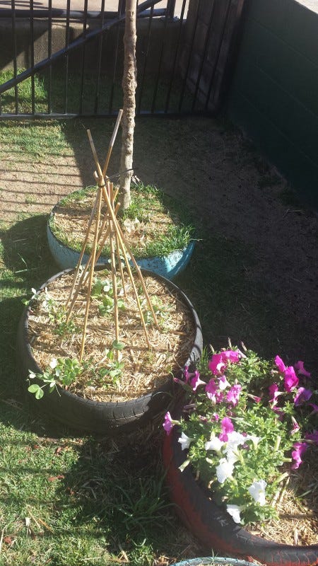 5 Tips to Bring More Nature into Your Outdoor Environment | by ...