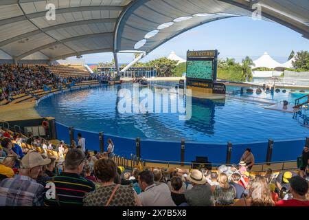 Loro parque (Spain). Loro parque Spain | by Shazadkhan Shazadkhan | Oct ...