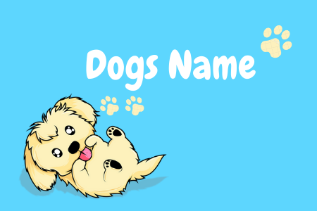 Best Top 250 Names for Your Dog.. Welcome to pocketspet website. Let’s ...