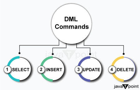 Manipulasi Tabel menggunakan DML pada SQL | by fijrisalwa | Medium