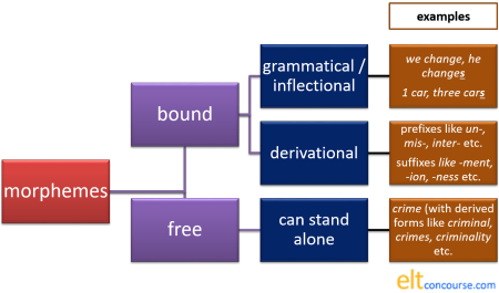 Building a Stemmer. An Intro to Text Normalization — let… | by Tiago ...