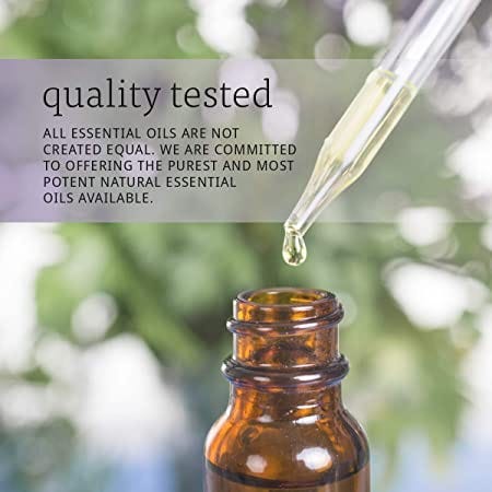 Now Solutions Rosemary Essential Oil, 30 ML - saghir ahmed - Medium