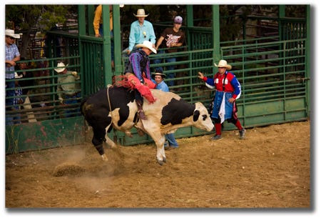 Riding into the Heart of Texas: A Deep Dive into Rodeo Adventures | by ...