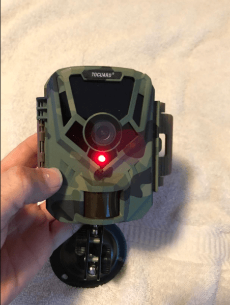 THE BEST TRAIL CAMERAS FOR WILDLIFE PHOTOGRAPHERS AND NATURE WATCHERS ...