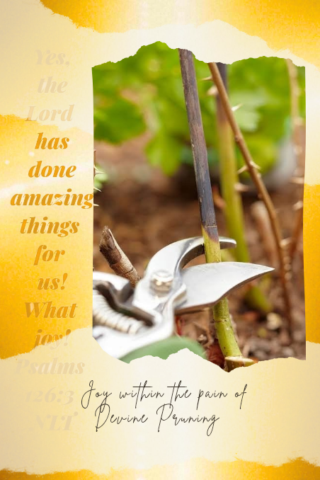 Joy within the pain of Divine pruning | by T's Tales | Mar, 2025 | Medium
