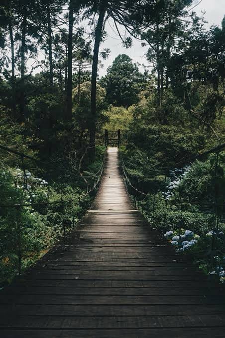 The third option. The lonely road.. | by greatnesswrites | Dec, 2025 ...