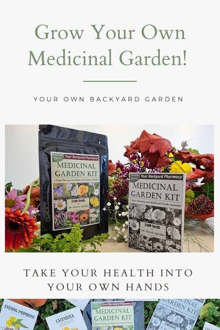 Unlocking the Power of Nature with the Medicinal Garden Kit | by ...