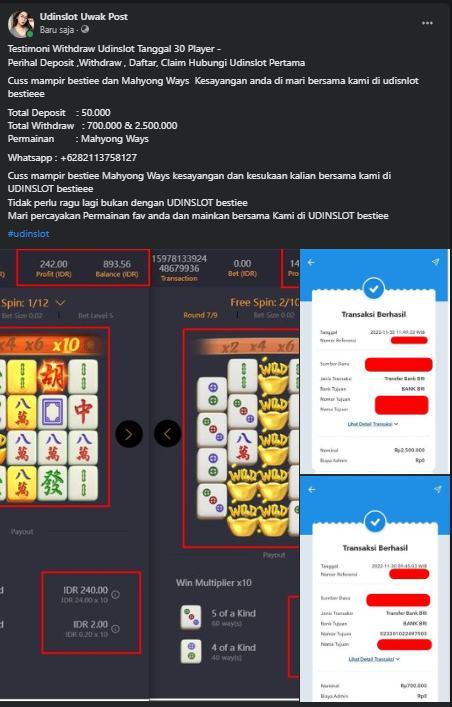 UDINSLOT - Shelly UDINSLOT - Medium