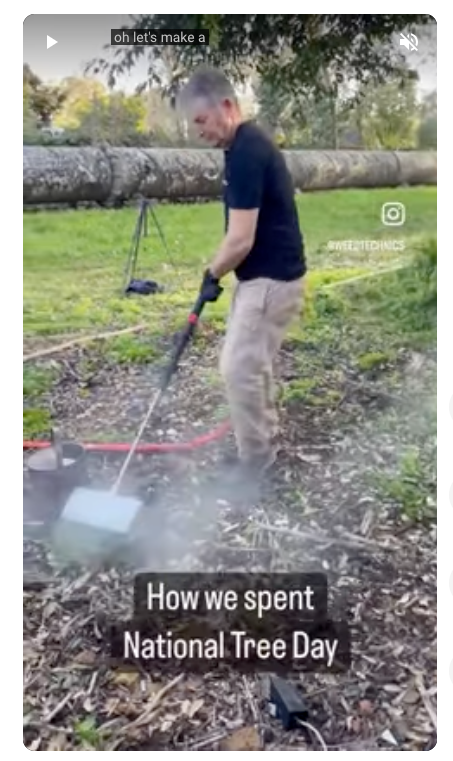 Embrace toxin-free planting this National Tree Day! - Steam Weeding by ...