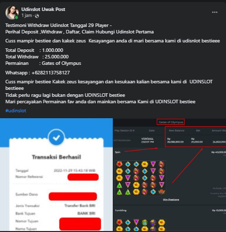 UDINSLOT - Shelly UDINSLOT - Medium