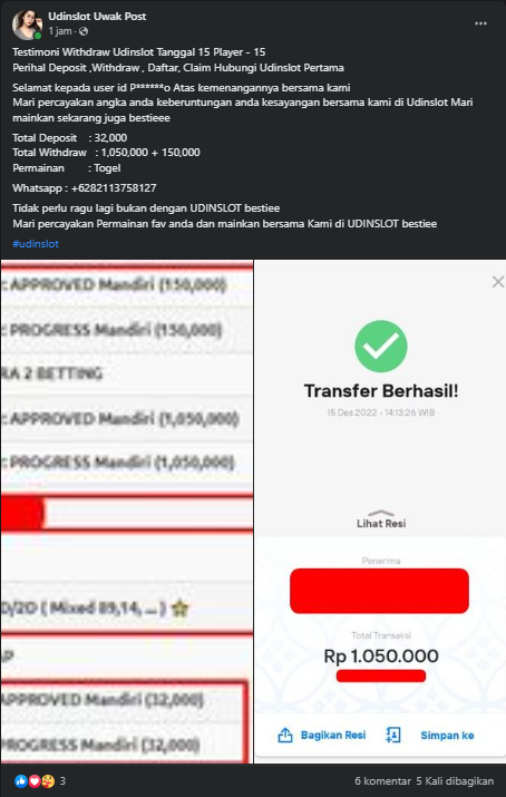 UDINSLOT - Shelly UDINSLOT - Medium