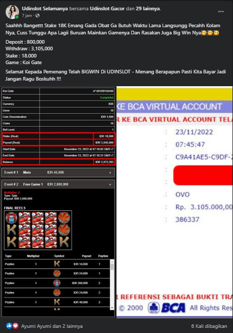UDINSLOT - Shelly UDINSLOT - Medium