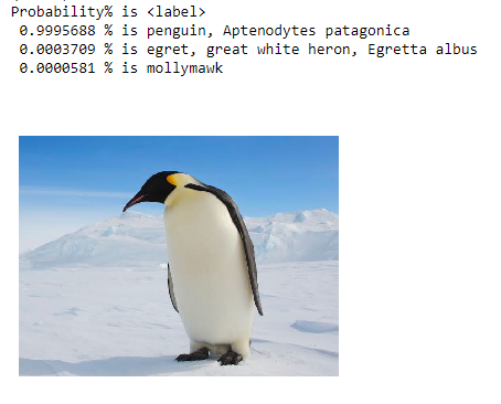 Detect a Penguin at the EDGE. Last November, Intel announced the… | by ...