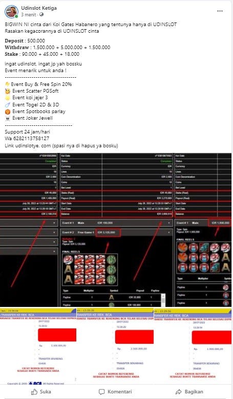 UDINSLOT - Shelly UDINSLOT - Medium