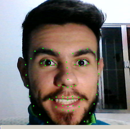 Facial mapping (landmarks) with Dlib + python | by Italo José | TDS Archive | Medium