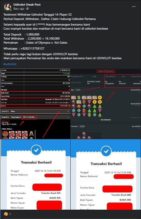 UDINSLOT - Shelly UDINSLOT - Medium