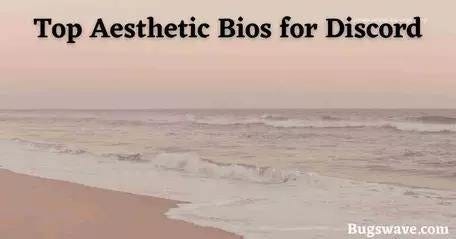 50+ Best Aesthetic Discord Bio Ideas 👦 - Bugswave - Medium