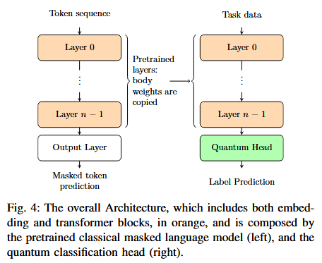 Exploring the Role of Quantum Circuits in Fine-Tuning Language Models ...