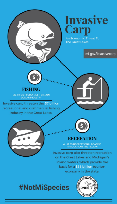 The time is now to act on invasive carp | by Governor Rick Snyder | Medium